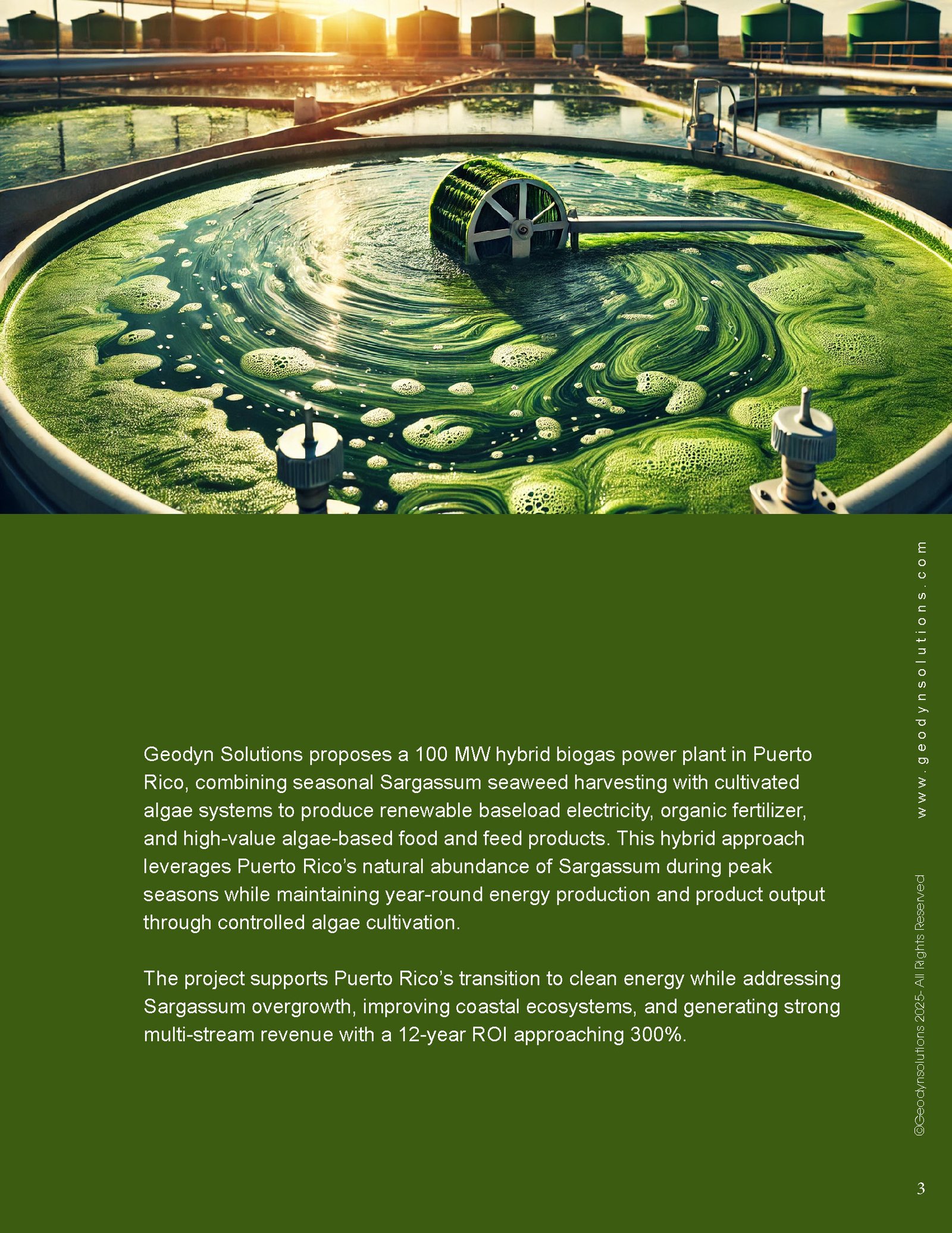 Geodyn Solutions 100 MW Hybrid Sargassum-Algae Biogas Power - Geodyn ...