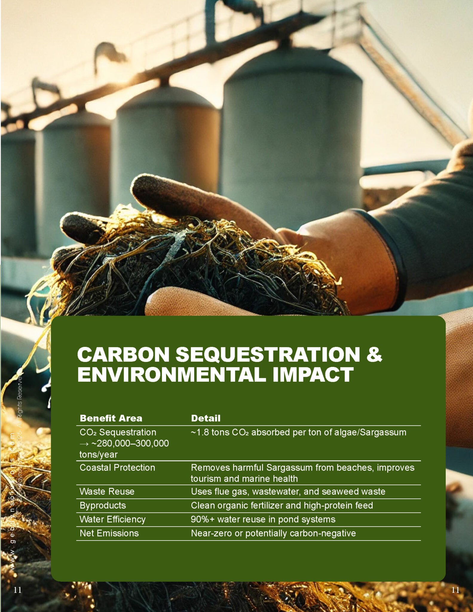 Geodyn Solutions 100 MW Hybrid Sargassum-Algae Biogas Power - Geodyn ...