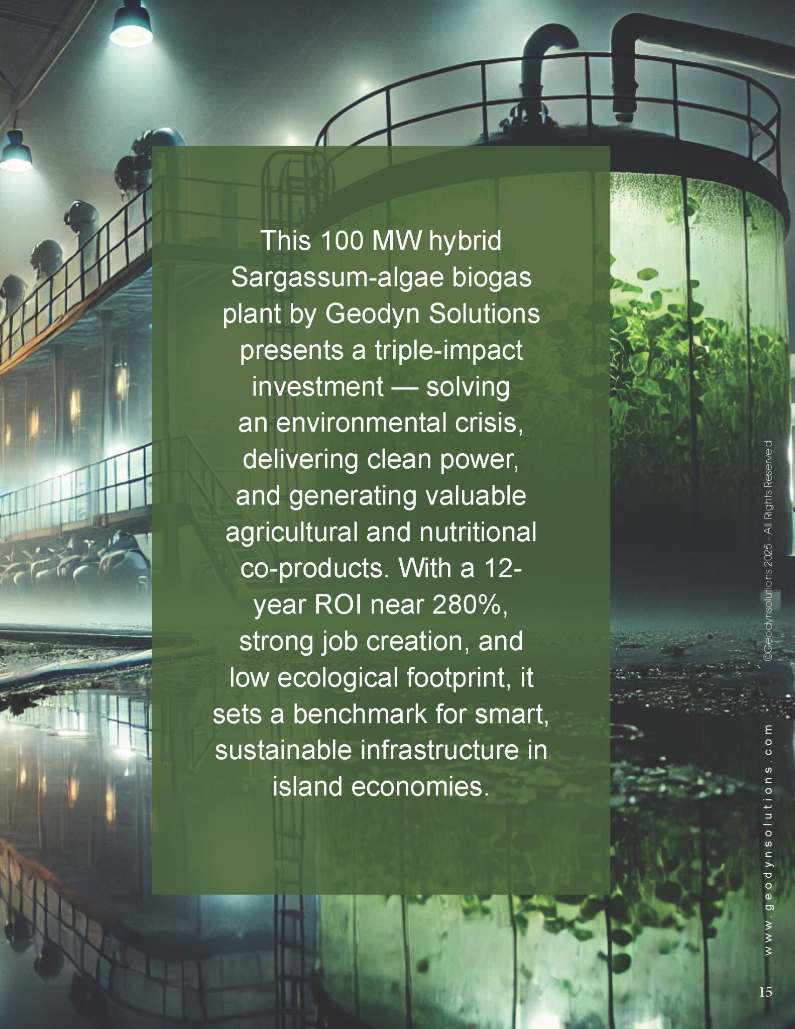 Geodyn Solutions 100 MW Hybrid Sargassum-Algae Biogas Power - Geodyn ...