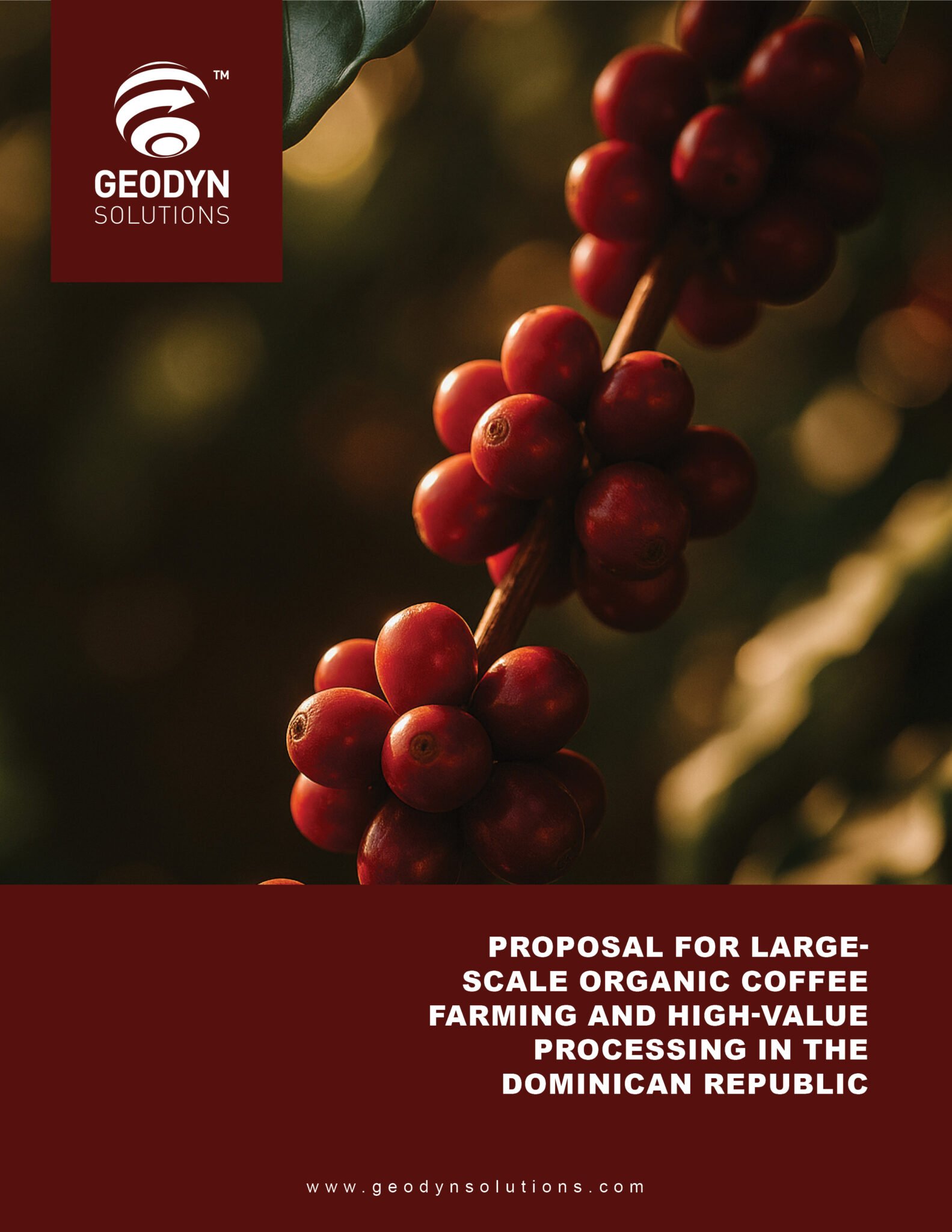 Proposal for Large-Scale Organic Coffee Farming and High-Value ...
